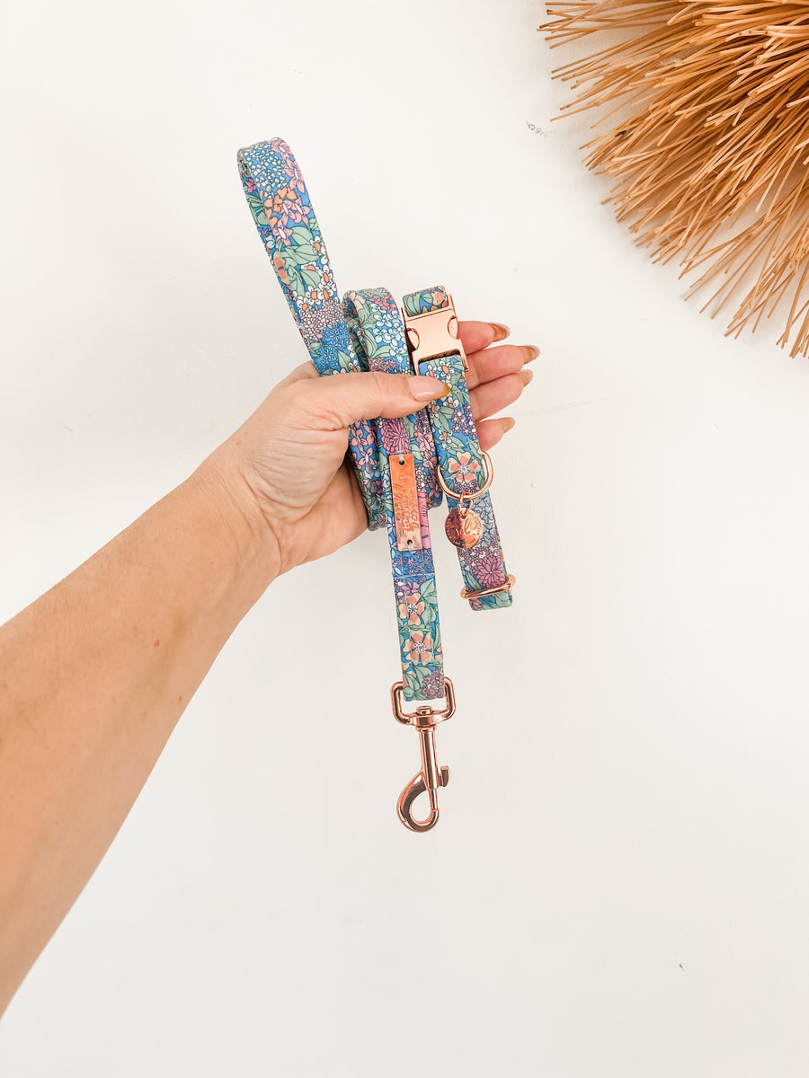 Bluebell Liberty Dog Collar – the spotted dog company