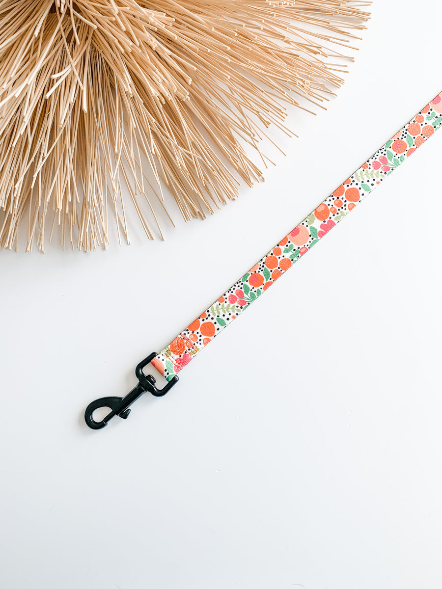 Babylon Dog Lead – the spotted dog company